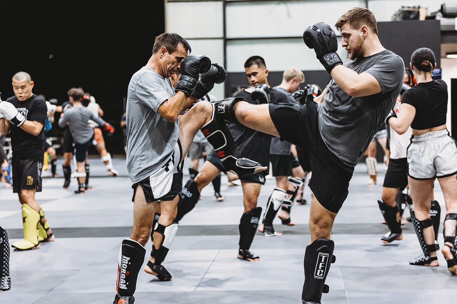 Muay Thai, Boxing, BJJ & MMA for Logan & Brisbane Southside
