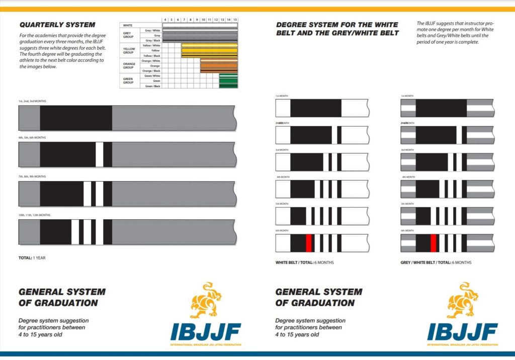 What is the BJJ Belt System and How Does It Work? - The Fight Centre